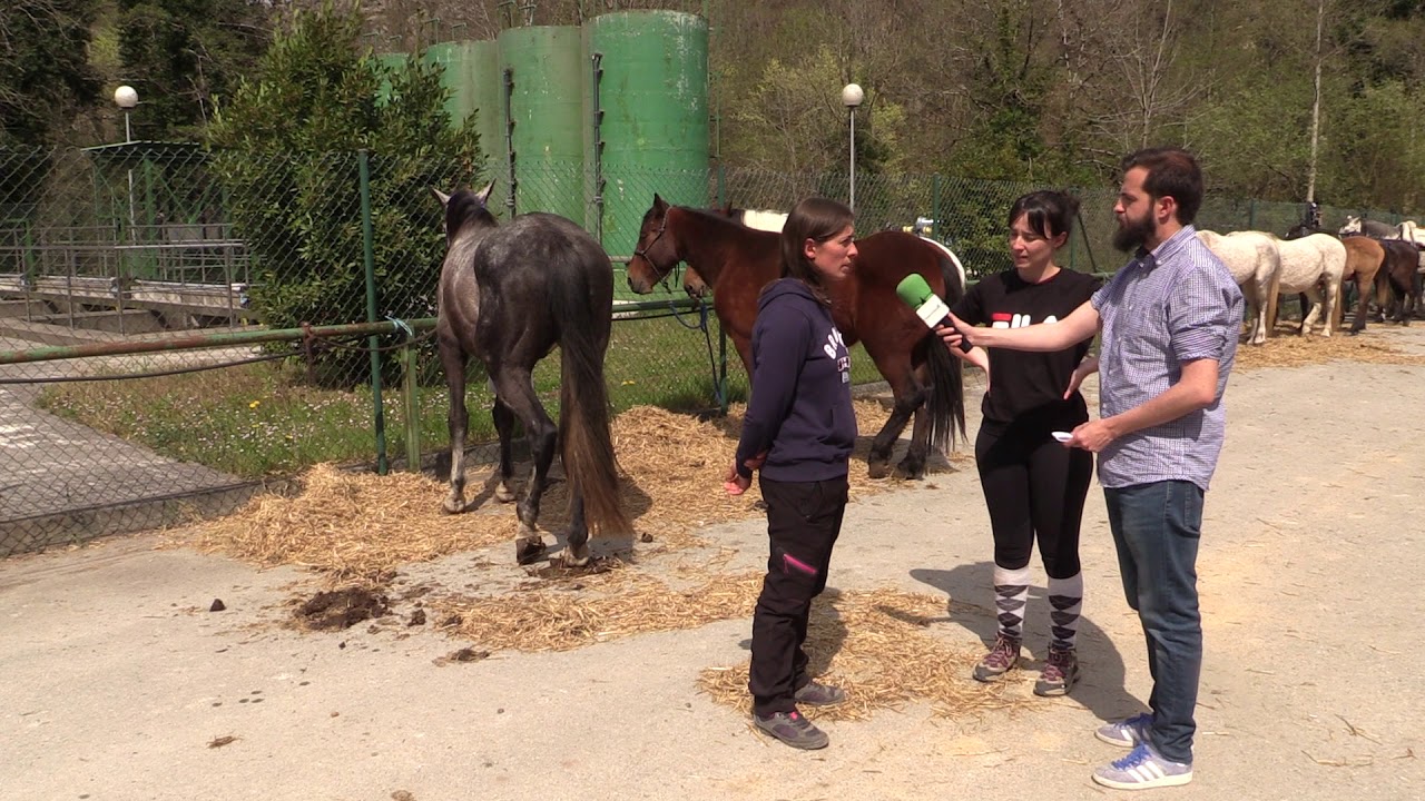 Entrevista a Isabel Cano y Lorena Negrón, de Belmonte - El Campo de ...